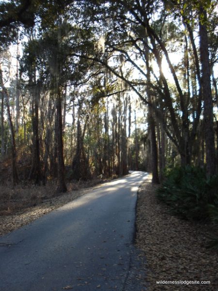 Jogging and Nature Trails | Disney's Wilderness Lodge Fan Site